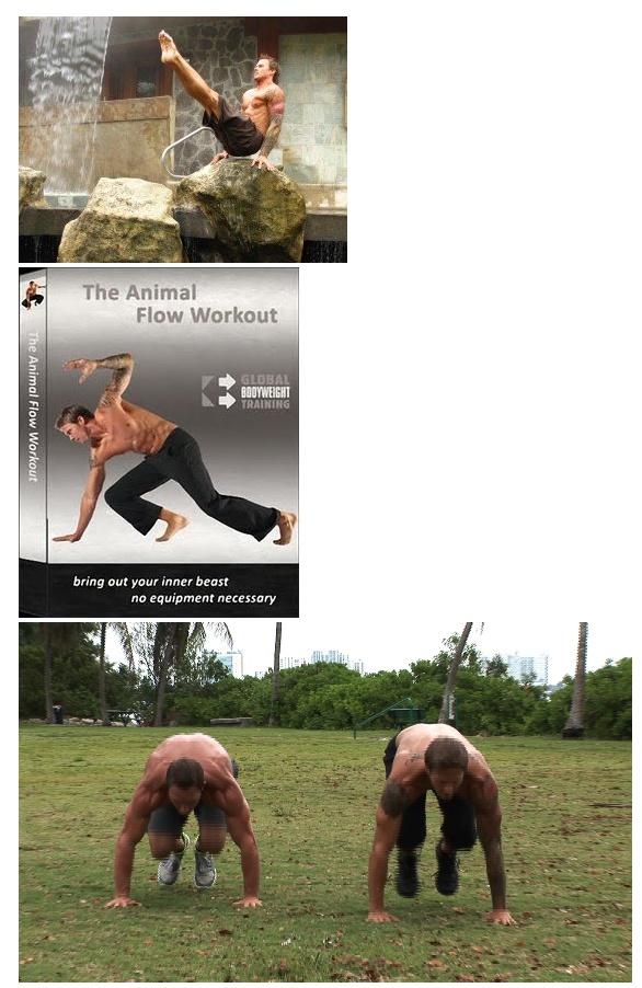 [몸짱] 맨손 운동 - Mike Fitch - Animal Flow Workout - 예스파일